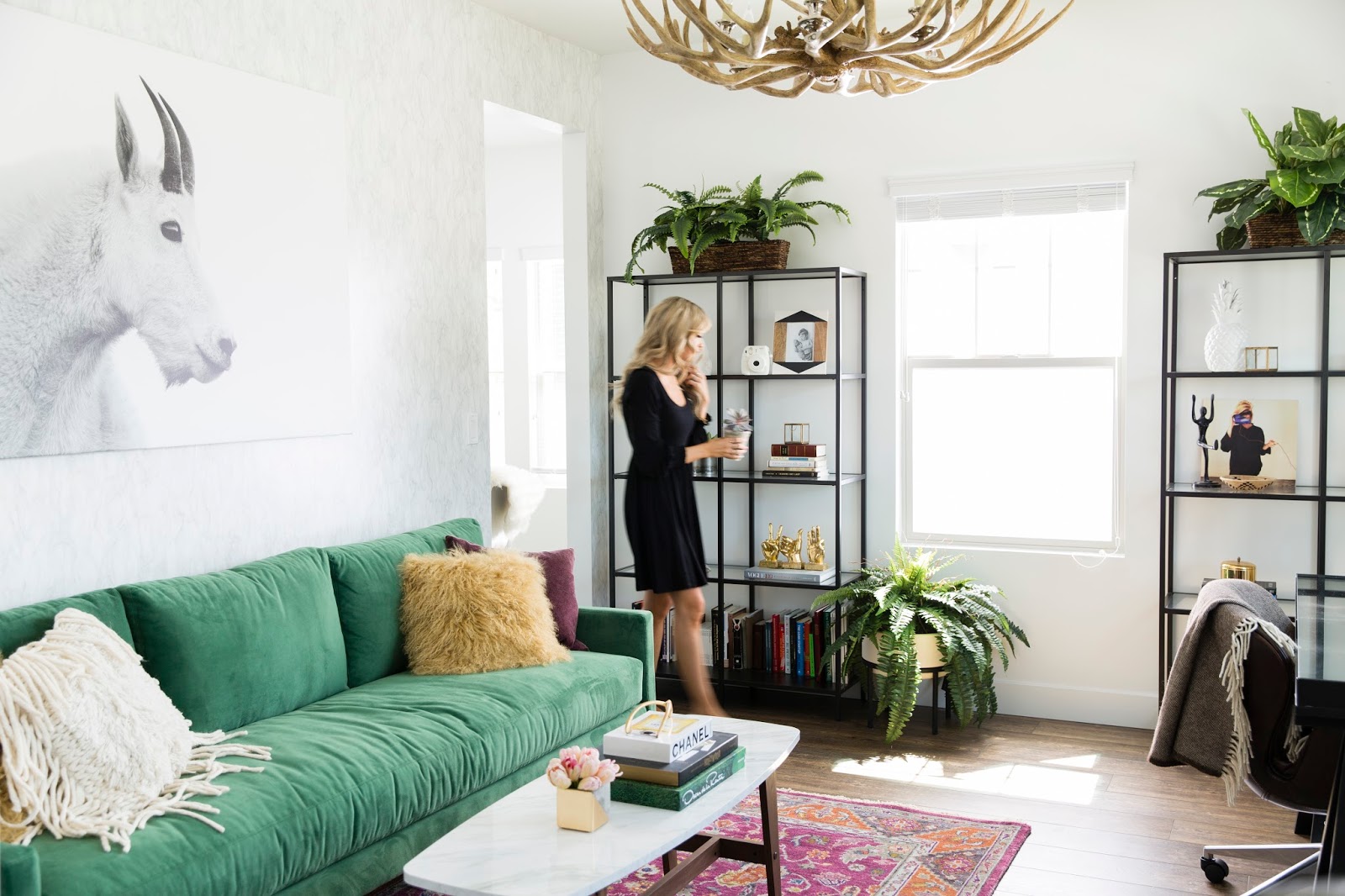 Sofás com Cor - Homes in Colour