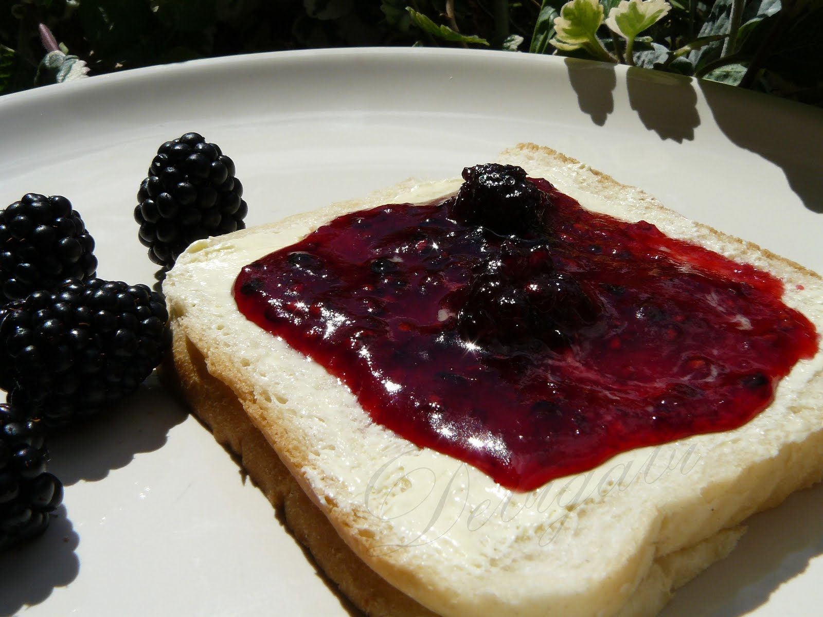 Vegyes saláta: Szeder lekvár