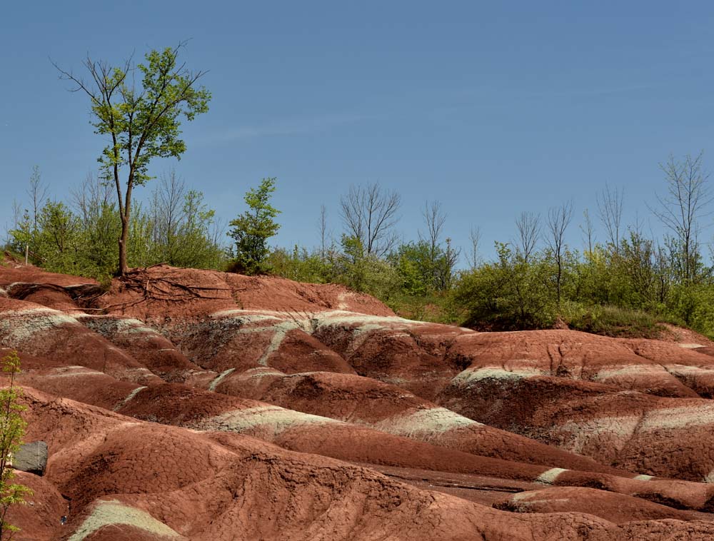 Toronto Grand Prix Tourist - A Toronto Blog: Cheltenham Badlands have ...