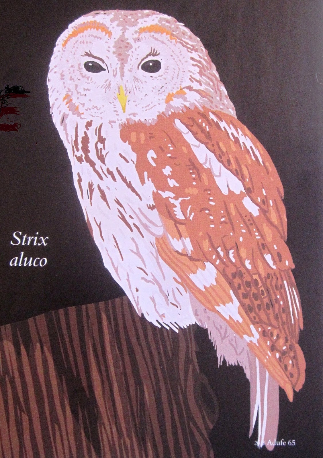 Notas & Comentários: ADUFE – revista cultural de Idanha-a-Nova