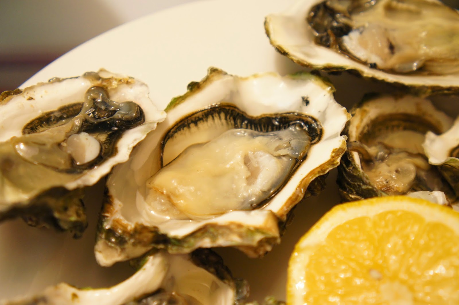 Day in the Life of a Hungry Food Explorer: Shellfish of the Day: Fresh ...