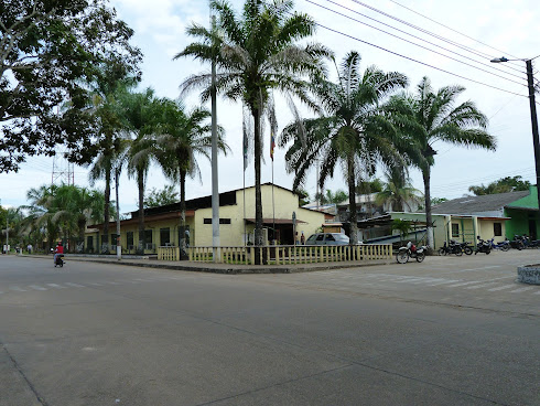 ALCALDÍA DE INÍRIDA