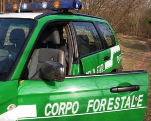 Cuore Alpino: Corpo Forestale dello Stato: un'eccellenza tutta italiana