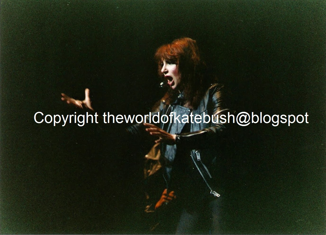 THE WORLD OF KATE BUSH: The Tour of Life