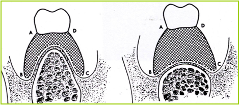 Dentistry and Medicine: Concept of Neutral Zone