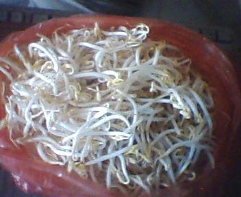 foodpassions: Lumpia (Springroll)