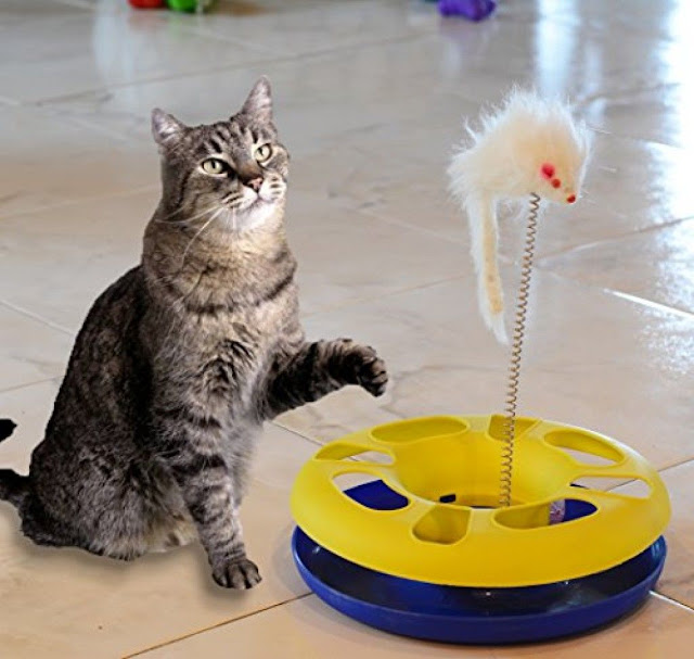 Top 10 Best Cat Toys of 2018