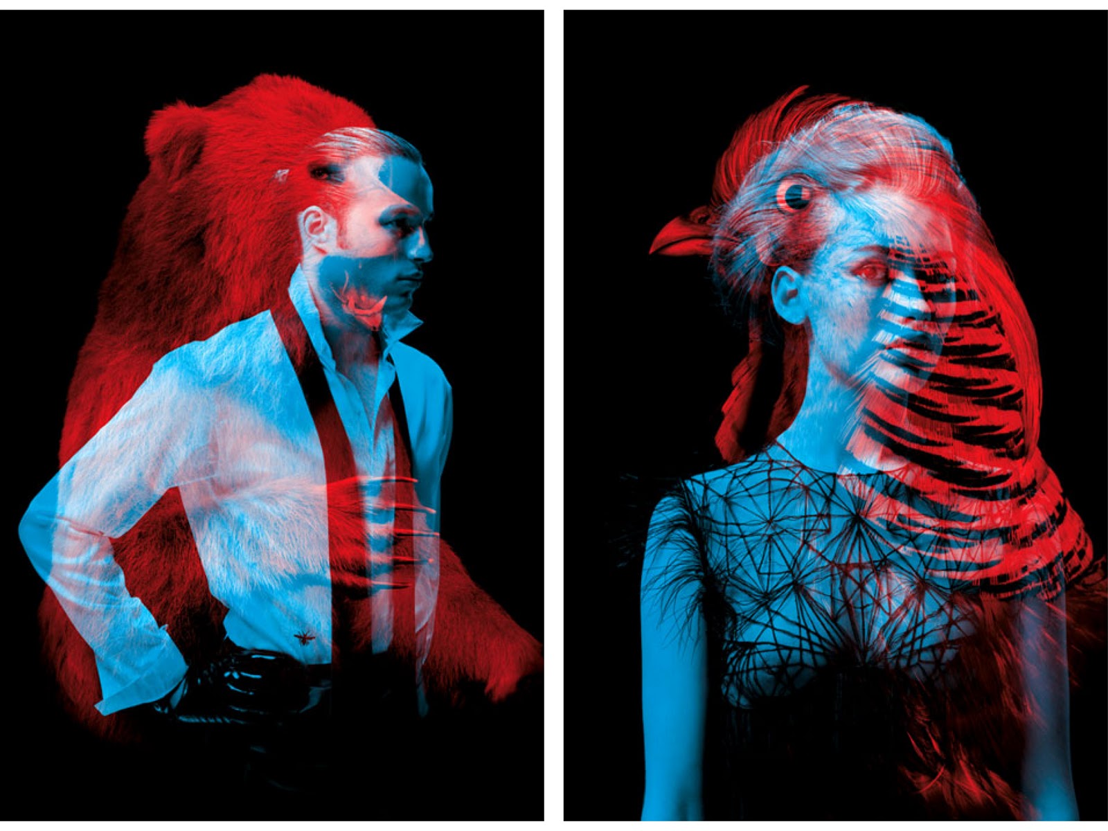 Koi Story: Fifteen Favorites on Friday v23