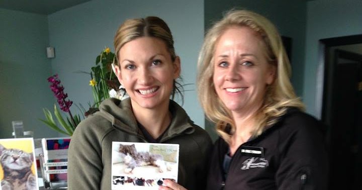 For Thine is the Geekdom: Adopting Pepino the CH Kitten