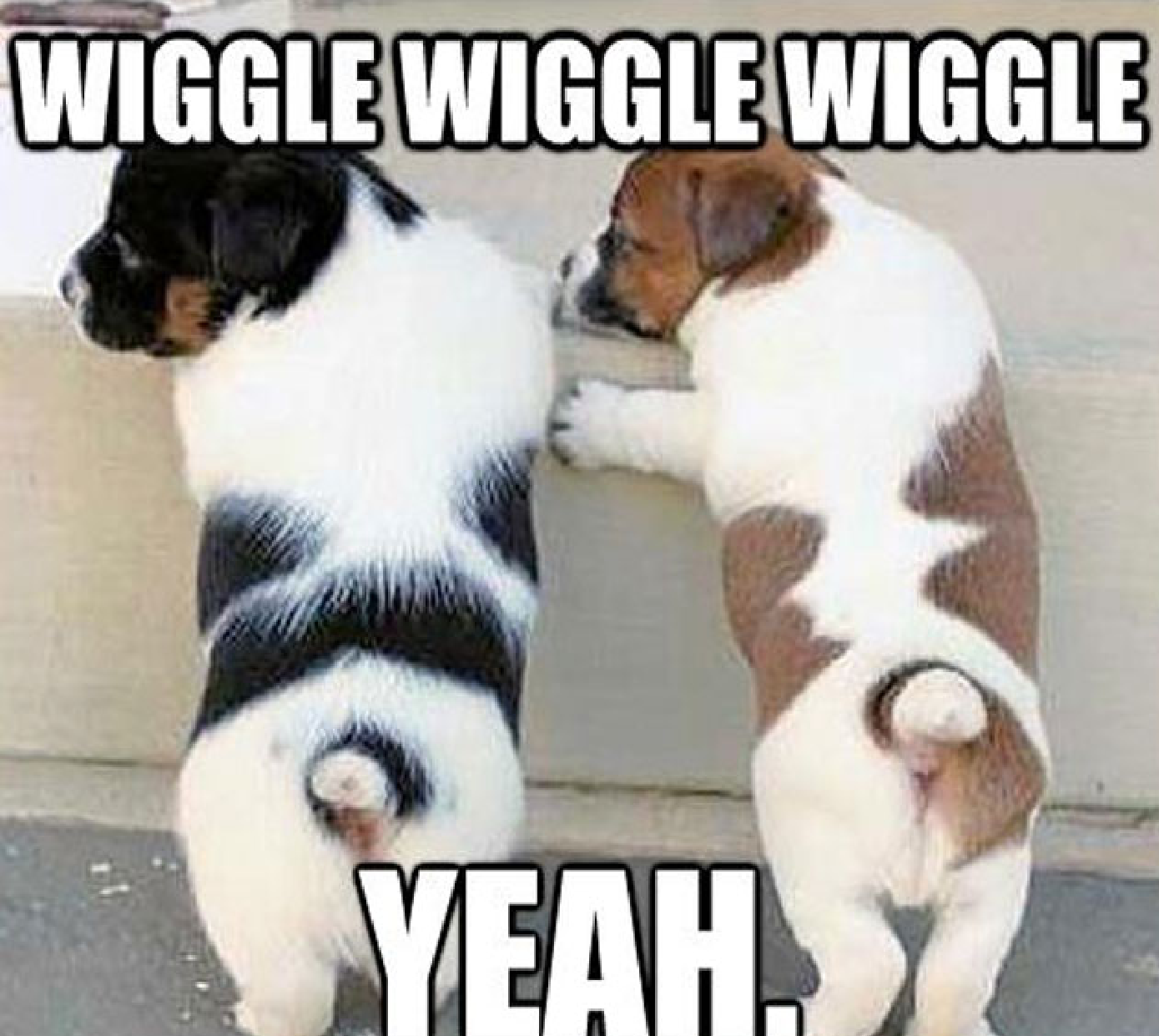 Englishlinks: Word of the day: Wiggle