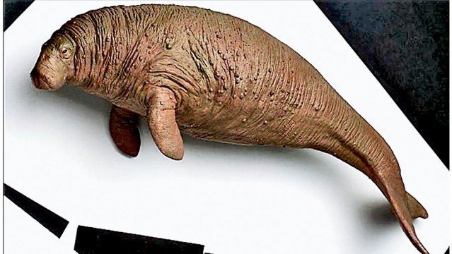 Artes de Pesca: VAMOS A PESCAR VACAS MARINAS (1ª Parte)