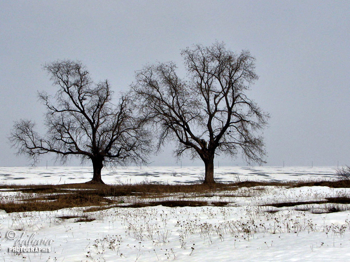 Photographis: Hagiesti - Marghiloman Mansion - Seasons