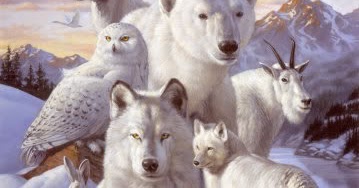 LSL Ledger: Polar Animals