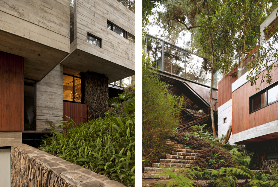 fertile grounds: Casa Corallo: Ultimate Modern Treehouse