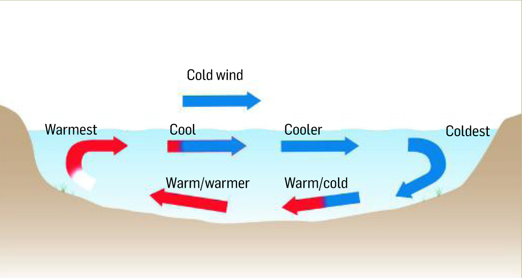 Top Tips for Winter Stillwater Trout Fishing