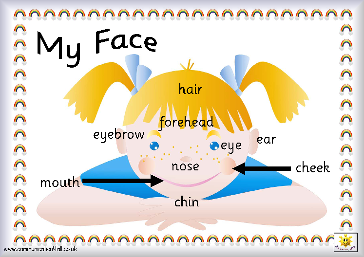 My face em inglés - Imagui