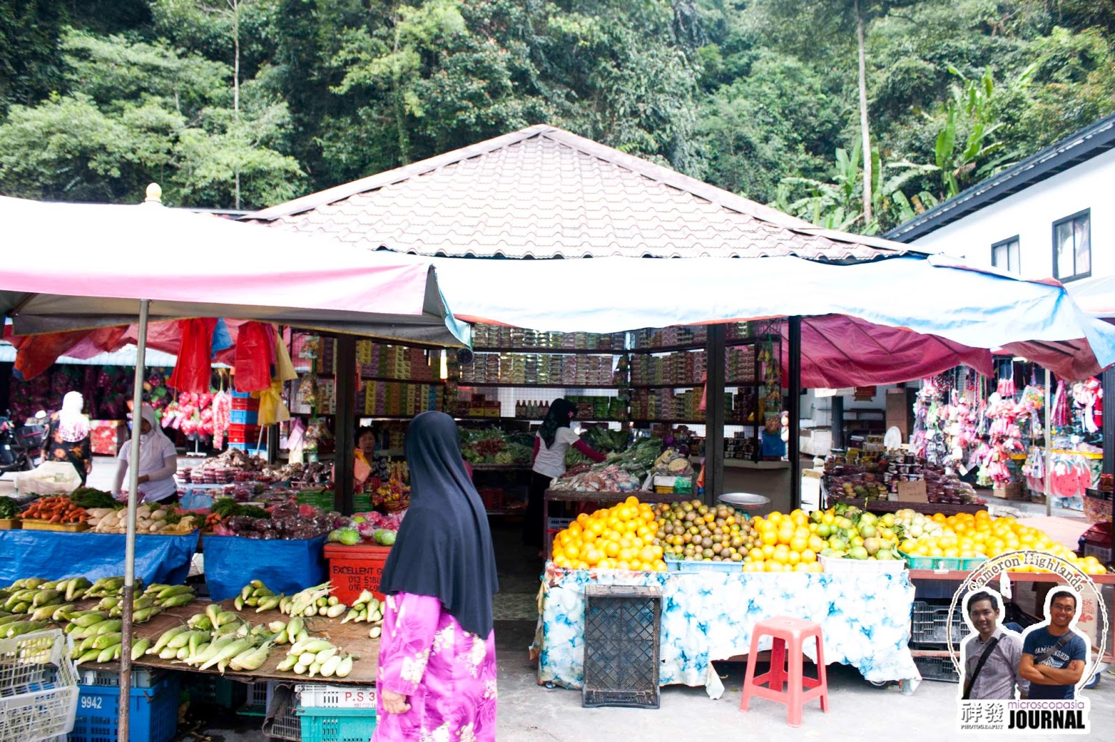 Veggies & Flower Shopping at Kea Farm, Cameron Highland