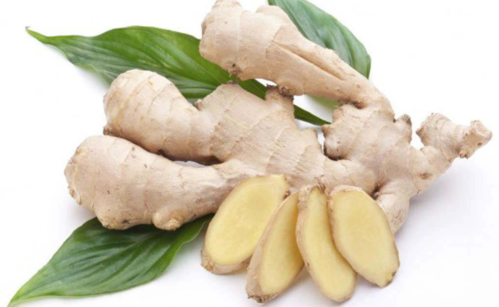 Kreasi Usaha: Manfaat Tanaman Rimpang Jahe (Zingiber officinale ...