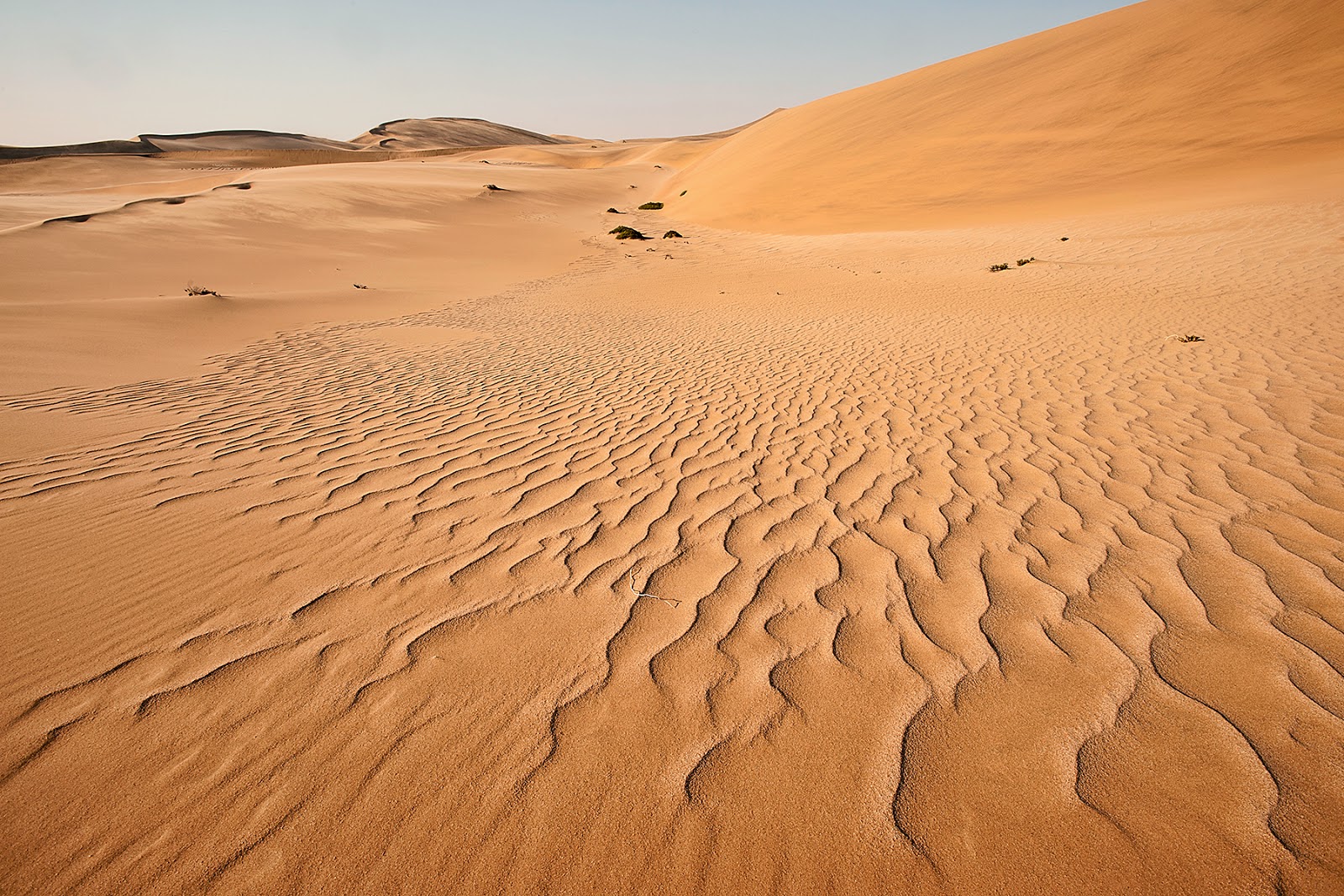 The Booby Hatcher: Namibian Sand Dunes
