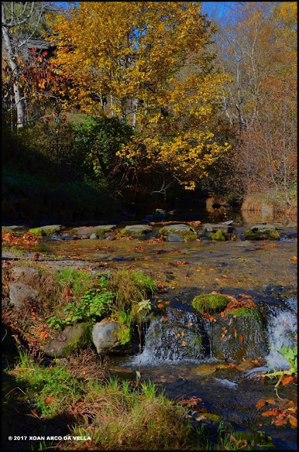 XOAN ARCO DA VELLA: PASOS DA SEARA - A SEARA - RÍO SELMO - QUIROGA