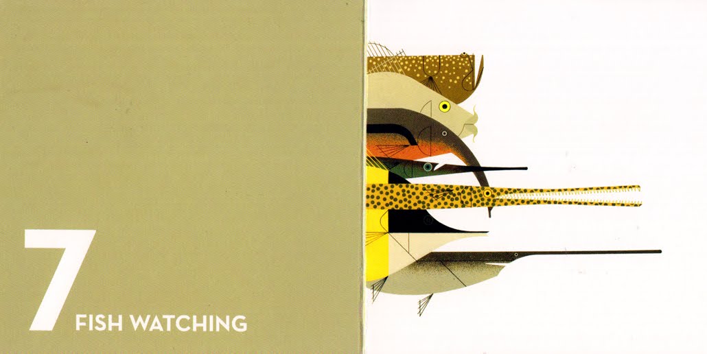 Jon Bliss Illustration