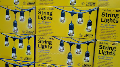GardenScaping: Putting up the Costco Patio Lights