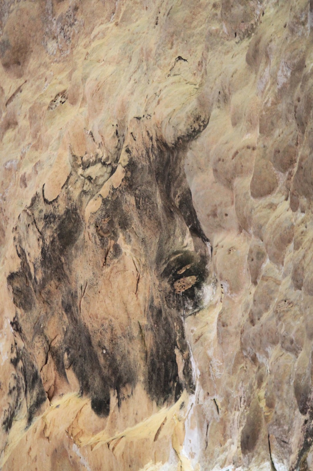 Prairie Art Alliance: Meet the Artist: Becky DuPont