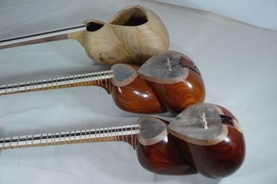 INSTRUMUNDO Instrumentos Musicales: Tar, Tar-e-Shiraaz