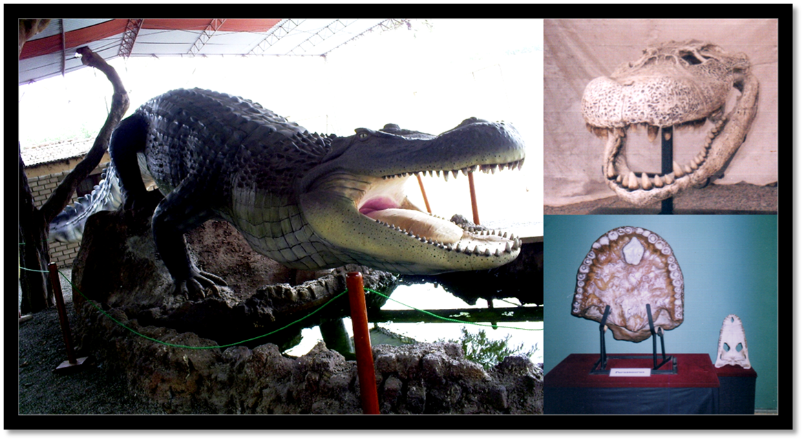 HISTORI-K: Dinosaurios en el Perú