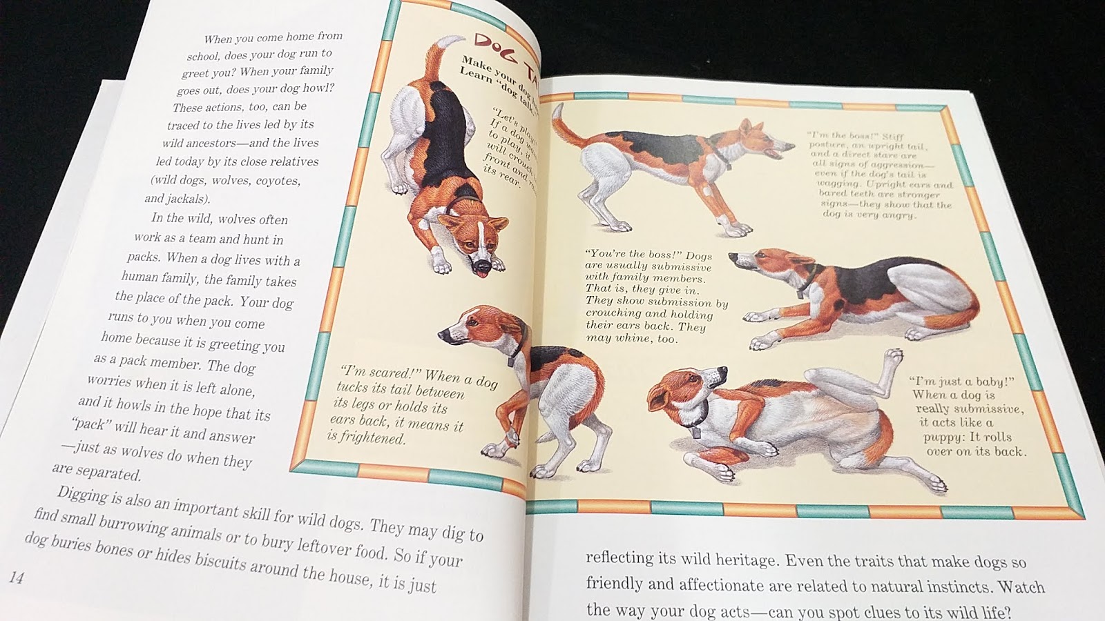 Kid Books Blog: 115.Disney's Year Book 1995 / 1997 / 1998