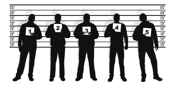 Blue Heron Blast: Double Blind Sequential