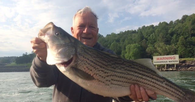 Jakes Fishing Facts: Tennessee River Provides Excellent Fishing