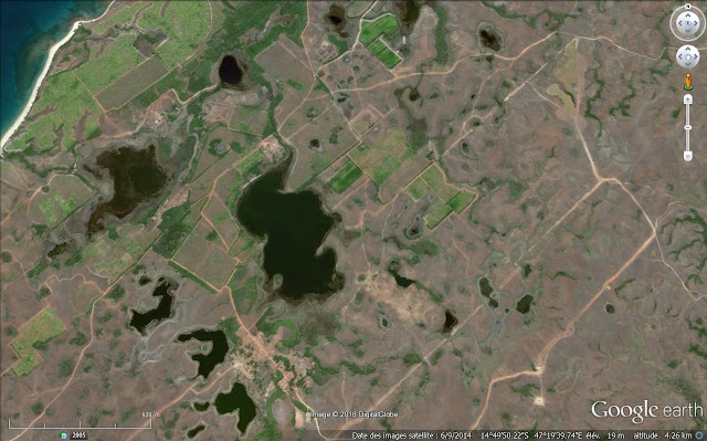 Tatsimo: La noix de cajou (mahabibo) à Madagascar