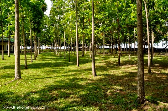 Marihatag Tree Park and Resort in Surigao del Sur