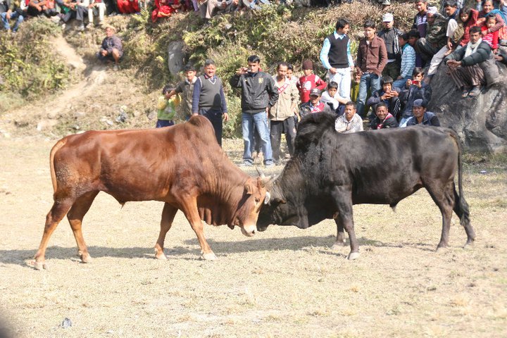 SHARE TWEET TELEGRAM WHATSAPP PIN IT SHARE