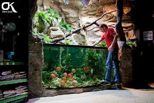 Aquascaping Oliver Knott Nano and Book