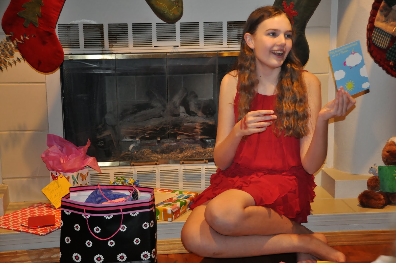 Adventures of the Girls and their Little Brother: 15th Birthday Party!