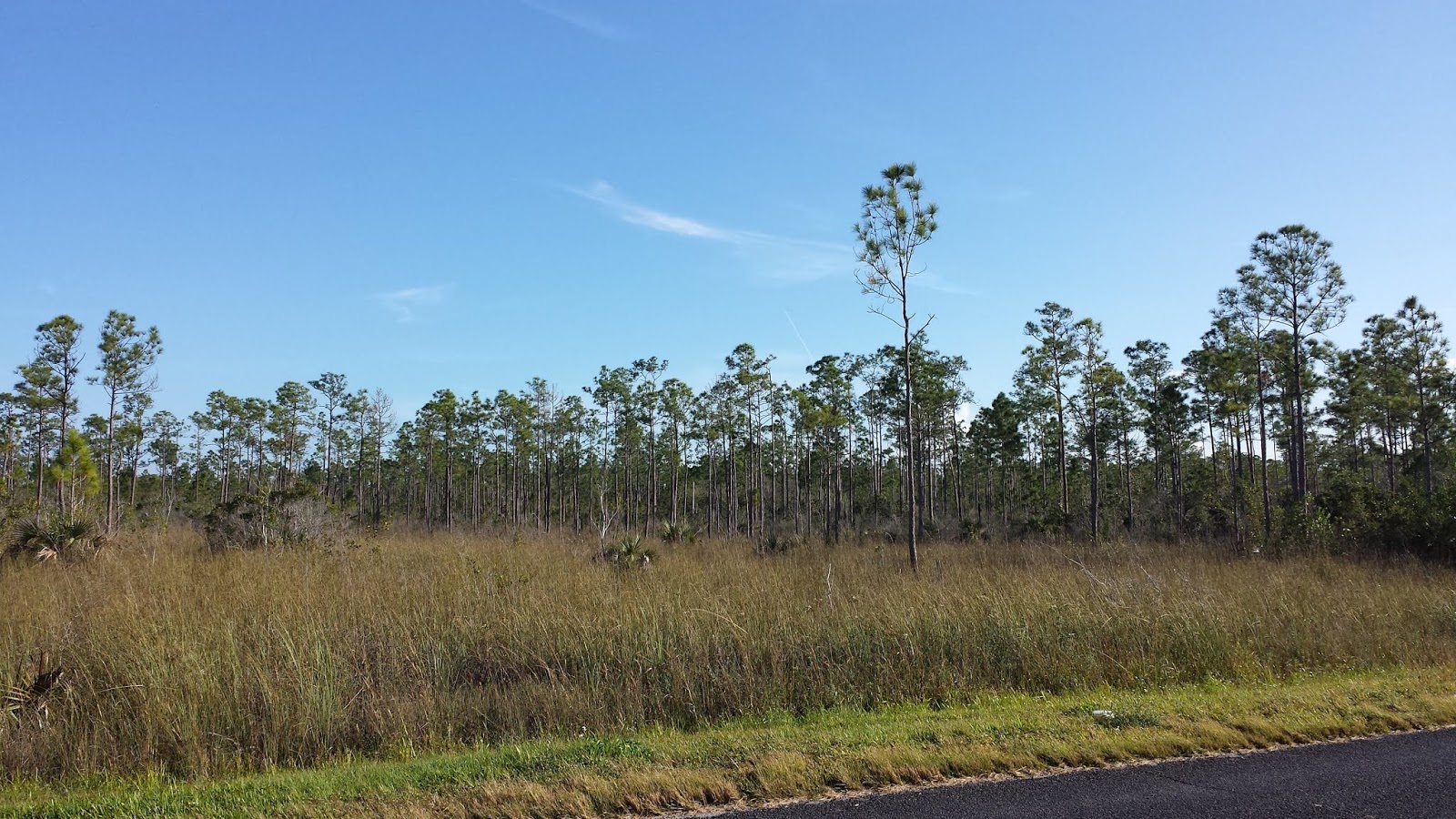 Two Plus a Handful: Nomad Southeast Trip, Day 11: Florida Keys