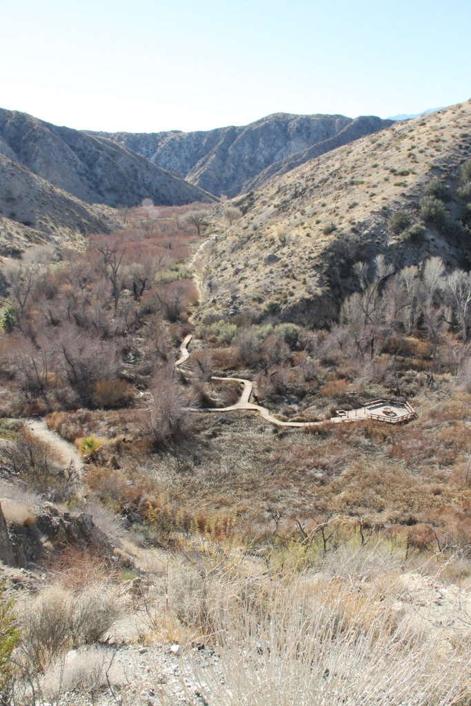 Geo's Journal: 2012 - Big Morongo Canyon Preserve