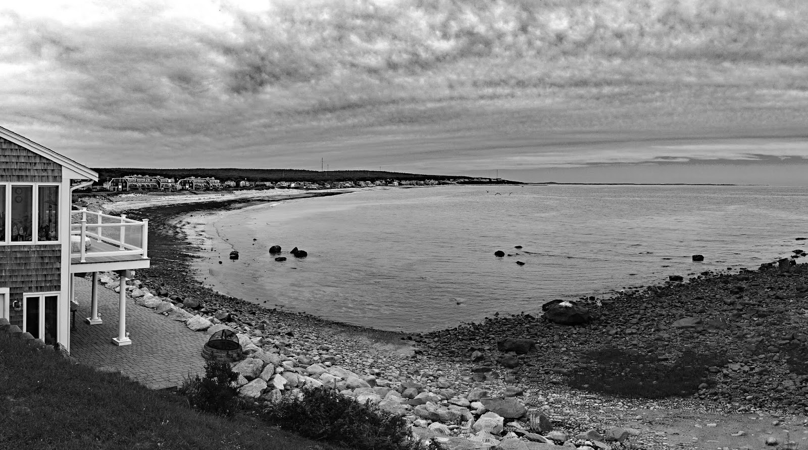 Joe's Retirement Blog: A Turkey in the Neighborhood, Manomet, Plymouth ...