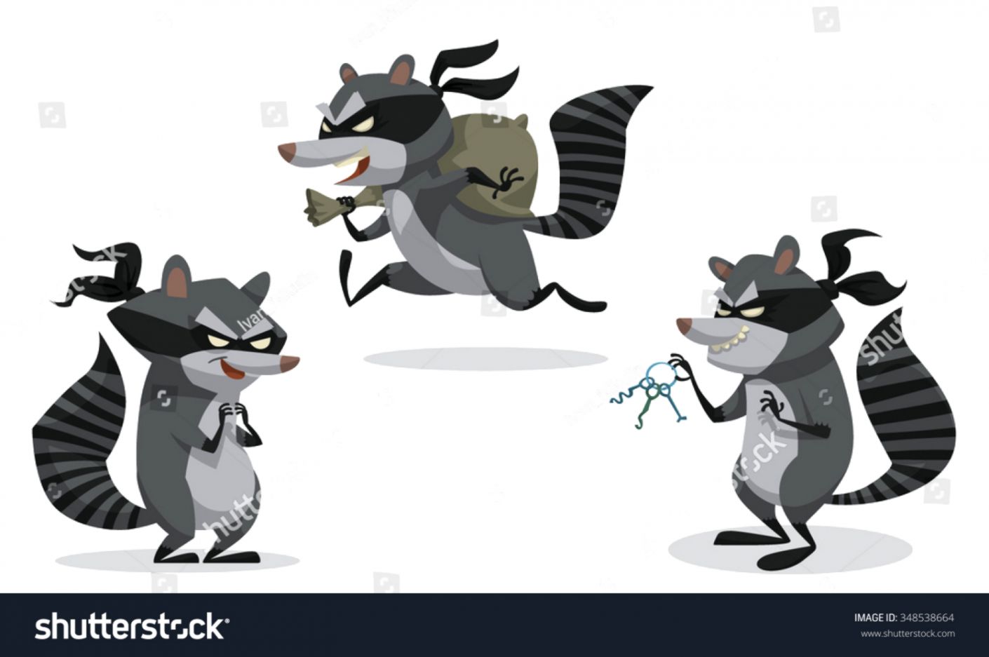 Bandit Raccoon | Wallpaper Background HD