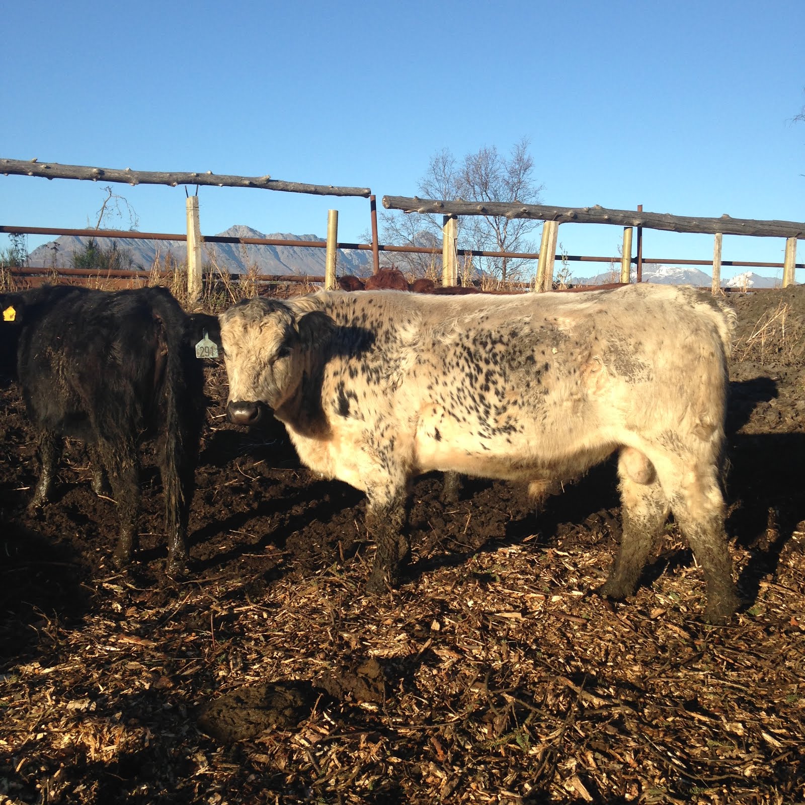 Wolverine Farm: 2016