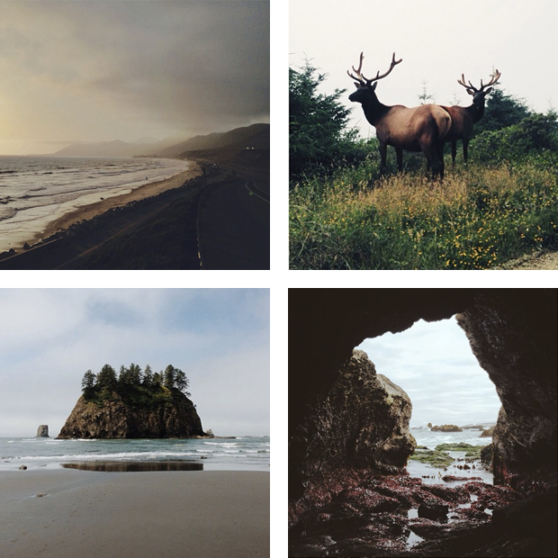 Rosebud & Penny: Kevin Russ