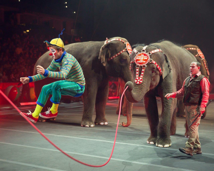 MOMMY BLOG EXPERT: Ringling Bros Circus Tickets on Sale SoCal Shows ...