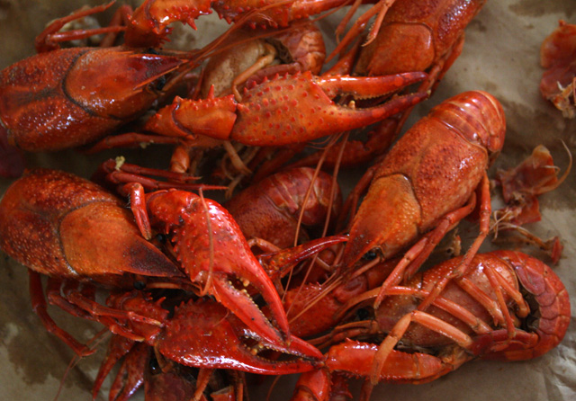 The 99 Cent Chef: July 2011