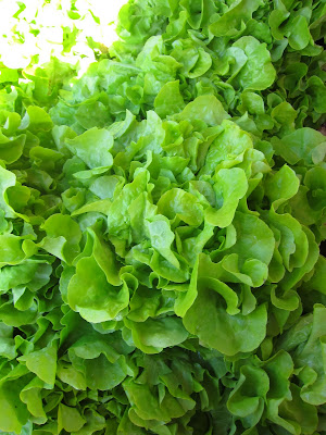 Bentobird: first spring farmer's market bento