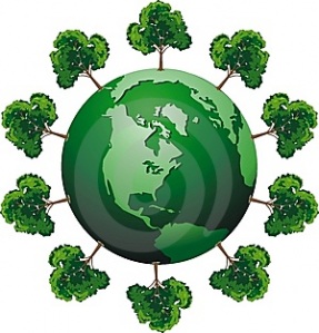 Ecologie si protectia mediului: Imagini