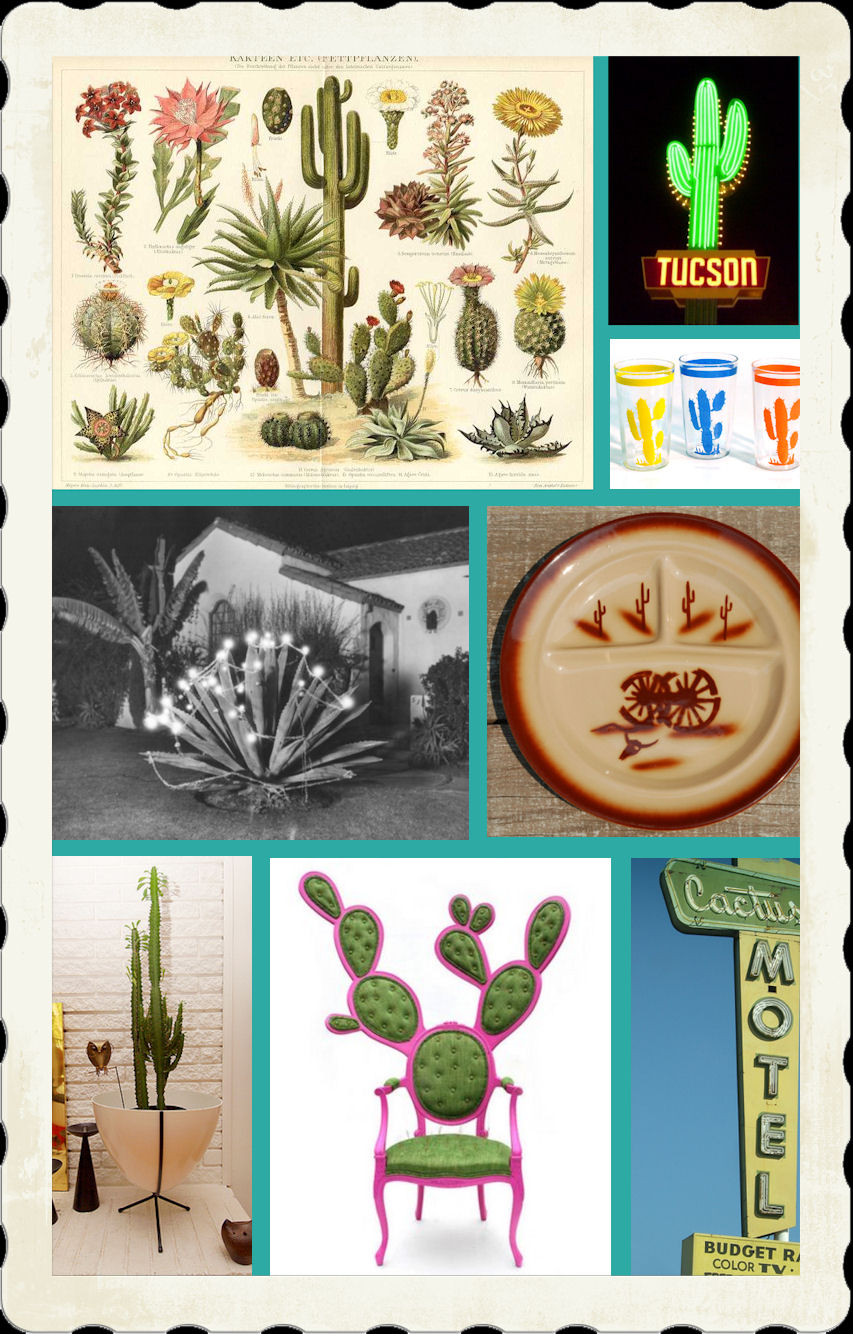 Butch Wax Vintage: A Love Story: My Obsession with Cactus & Succulents