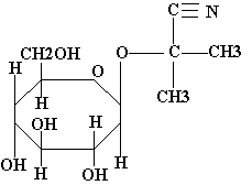 Biología del Picasso: septiembre 2016