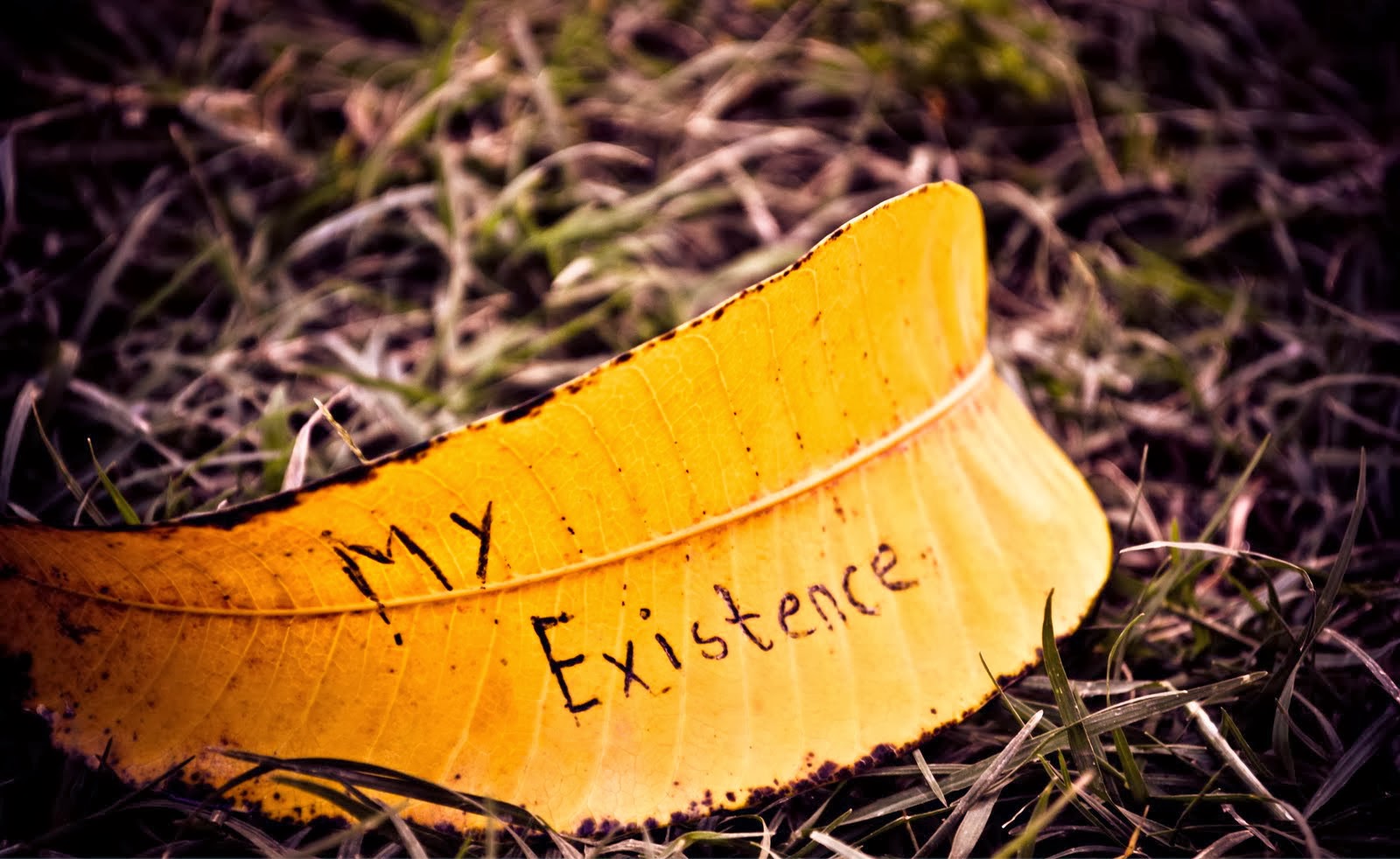 by Unknown 0comments